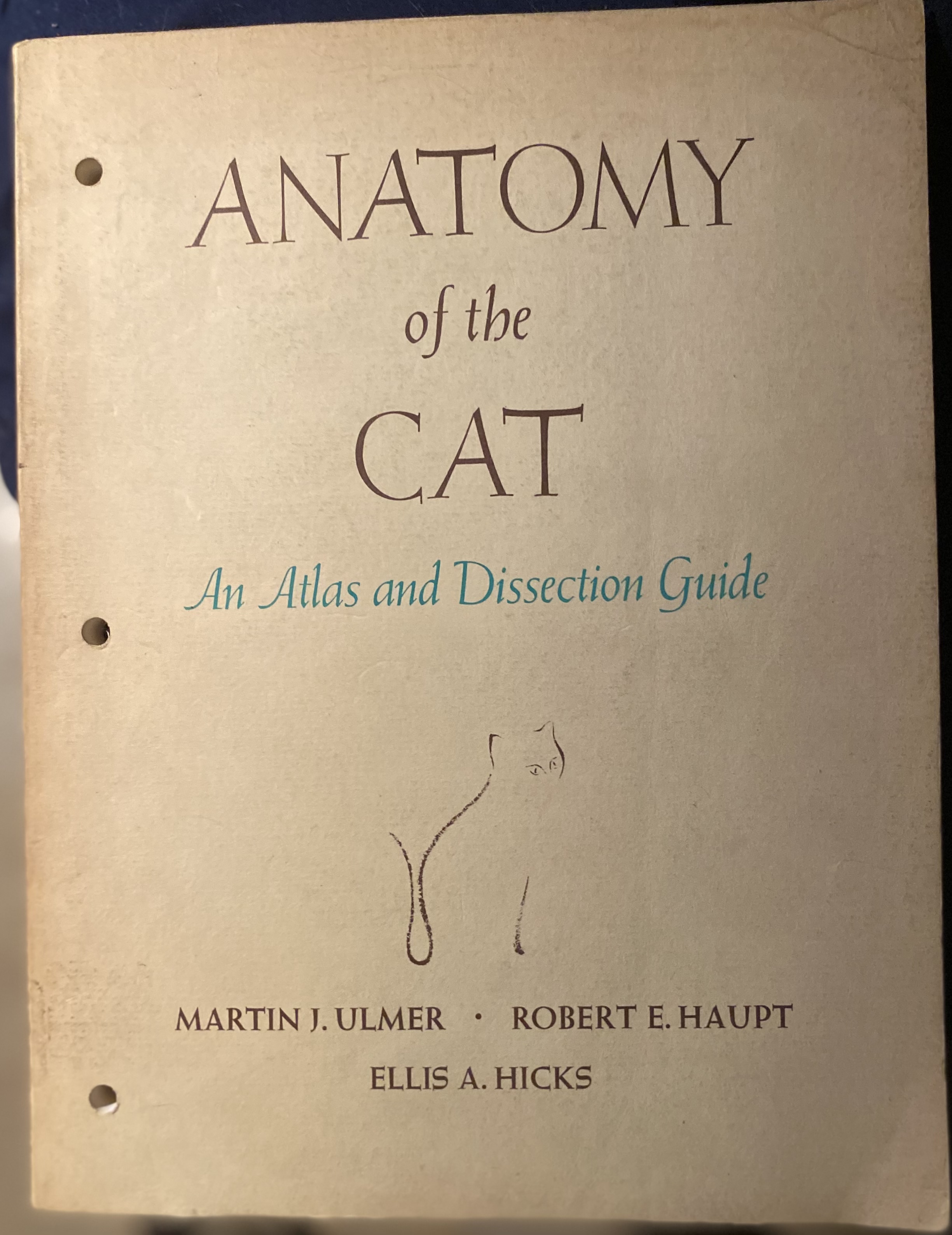 Anatomy of the Cat by Martin J Ulmer: Very Good Soft cover (1971) | Rob ...