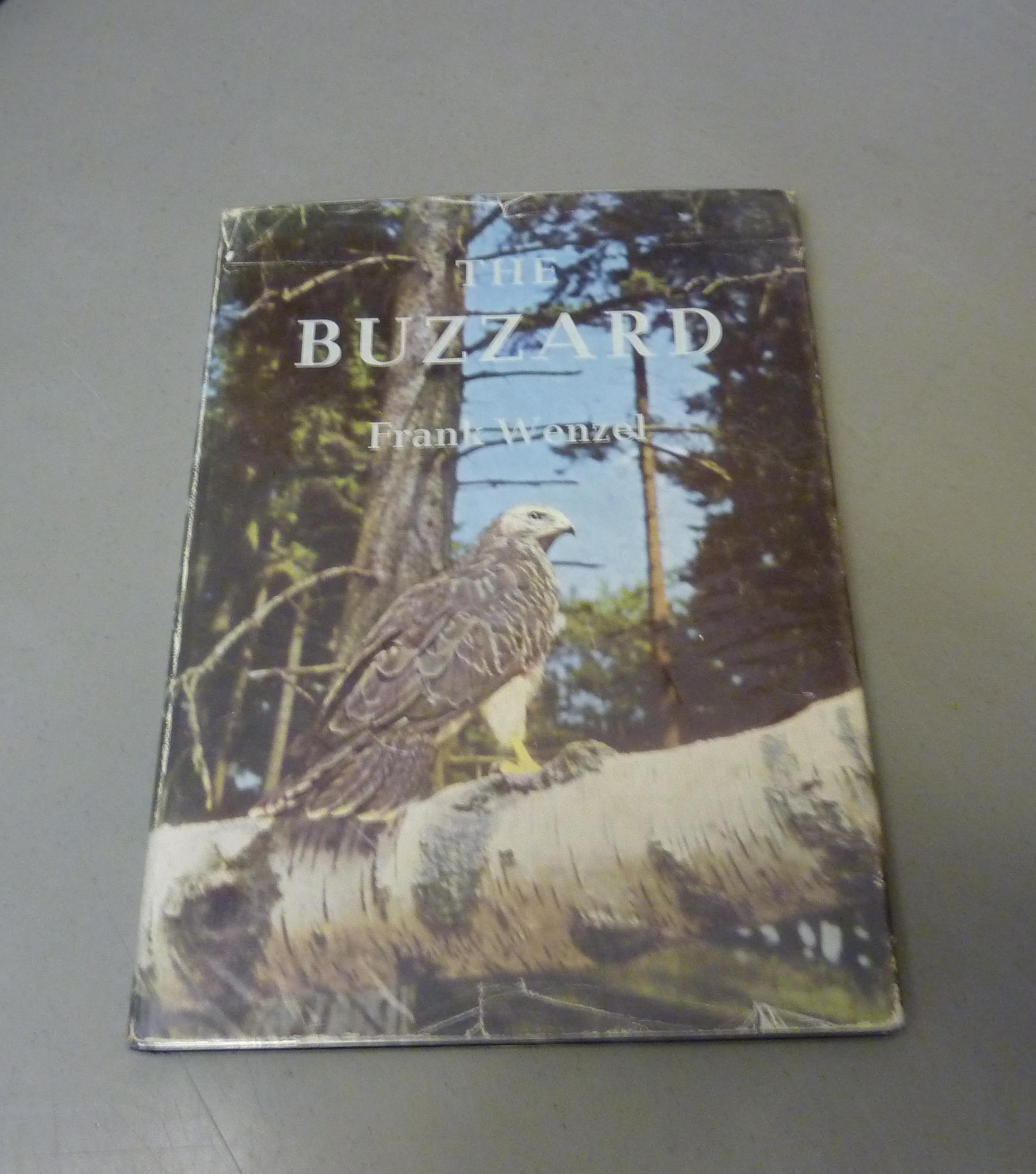 The Buzzard by Wenzel, Frank: Very Good Hardcover (1959) 1st Edition ...