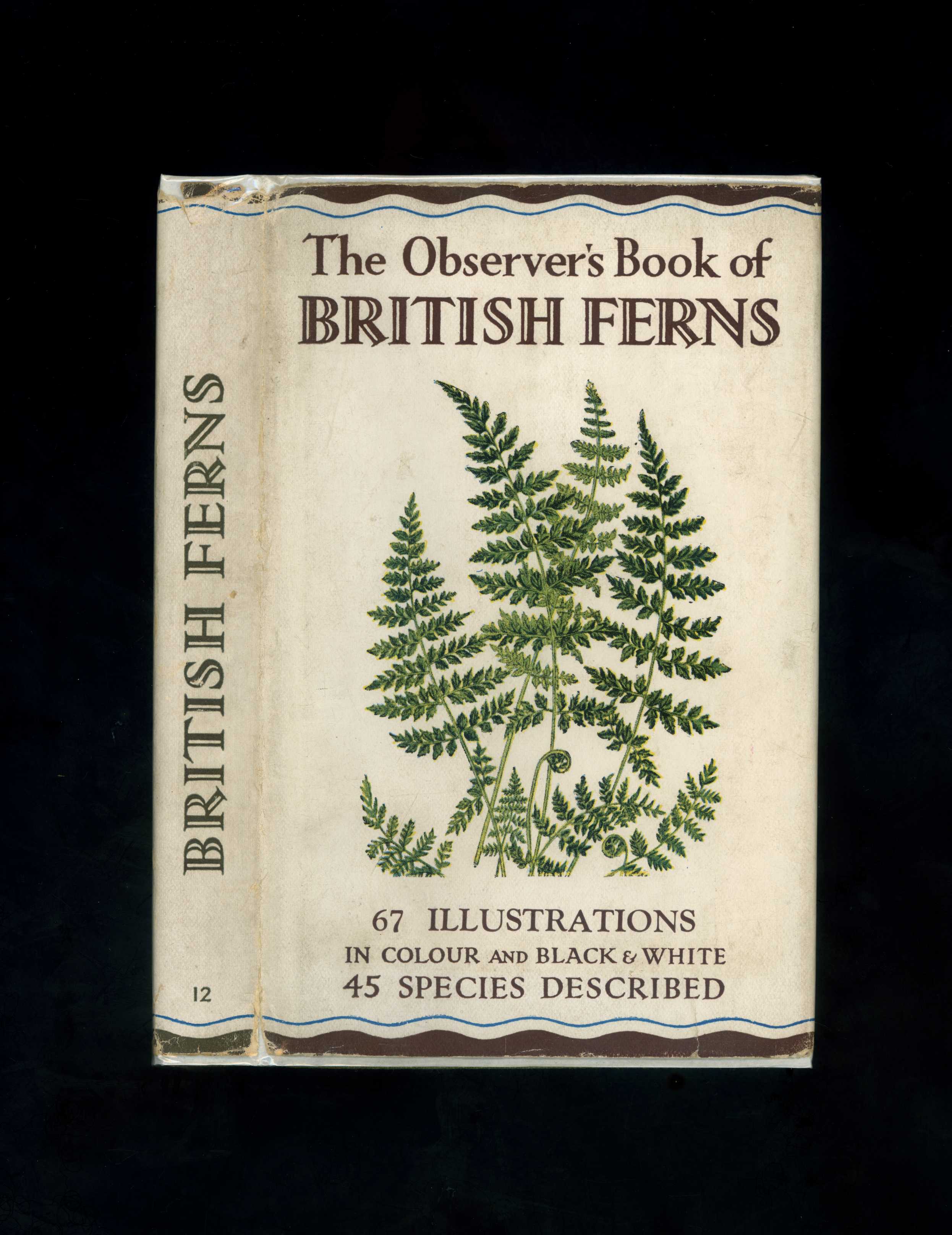 THE OBSERVER'S BOOK OF BRITISH FERNS - Observer's Book No. 12 (A first ...