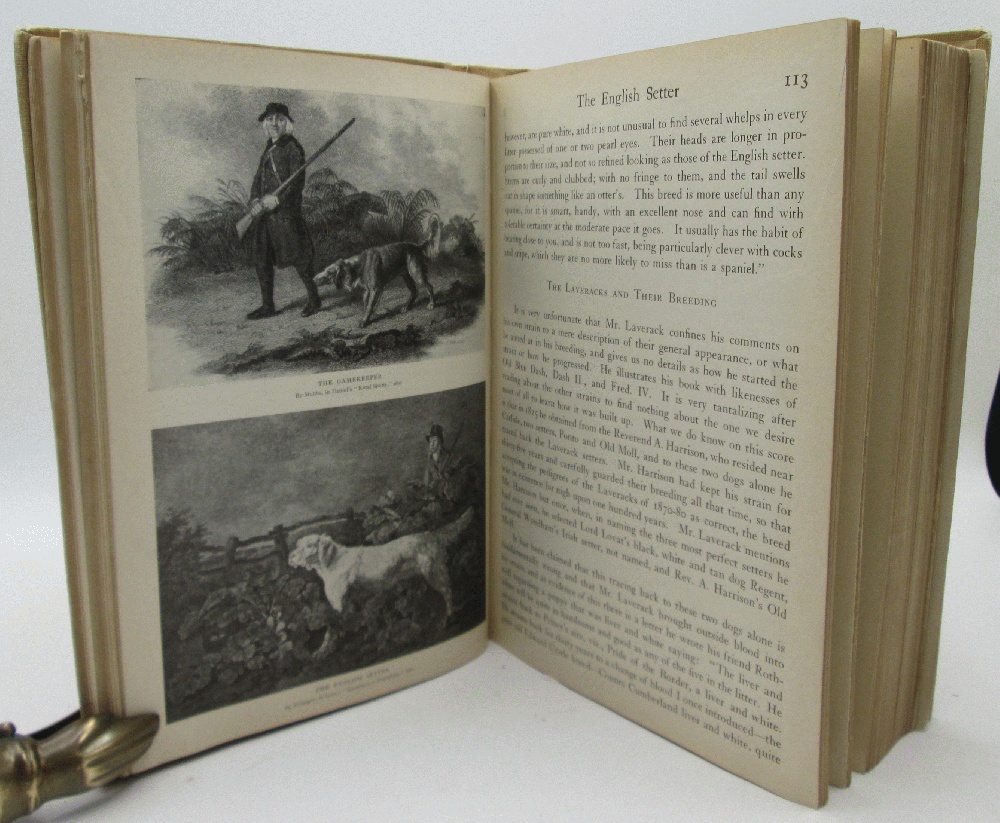 The Dog Book: A Popular History of the Dog, with Practical Information ...