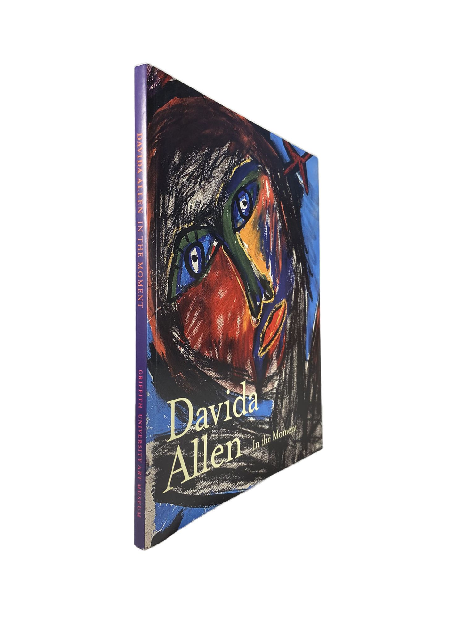 Davida Allen : In the Moment by Griffith University Art Museum: Fine ...