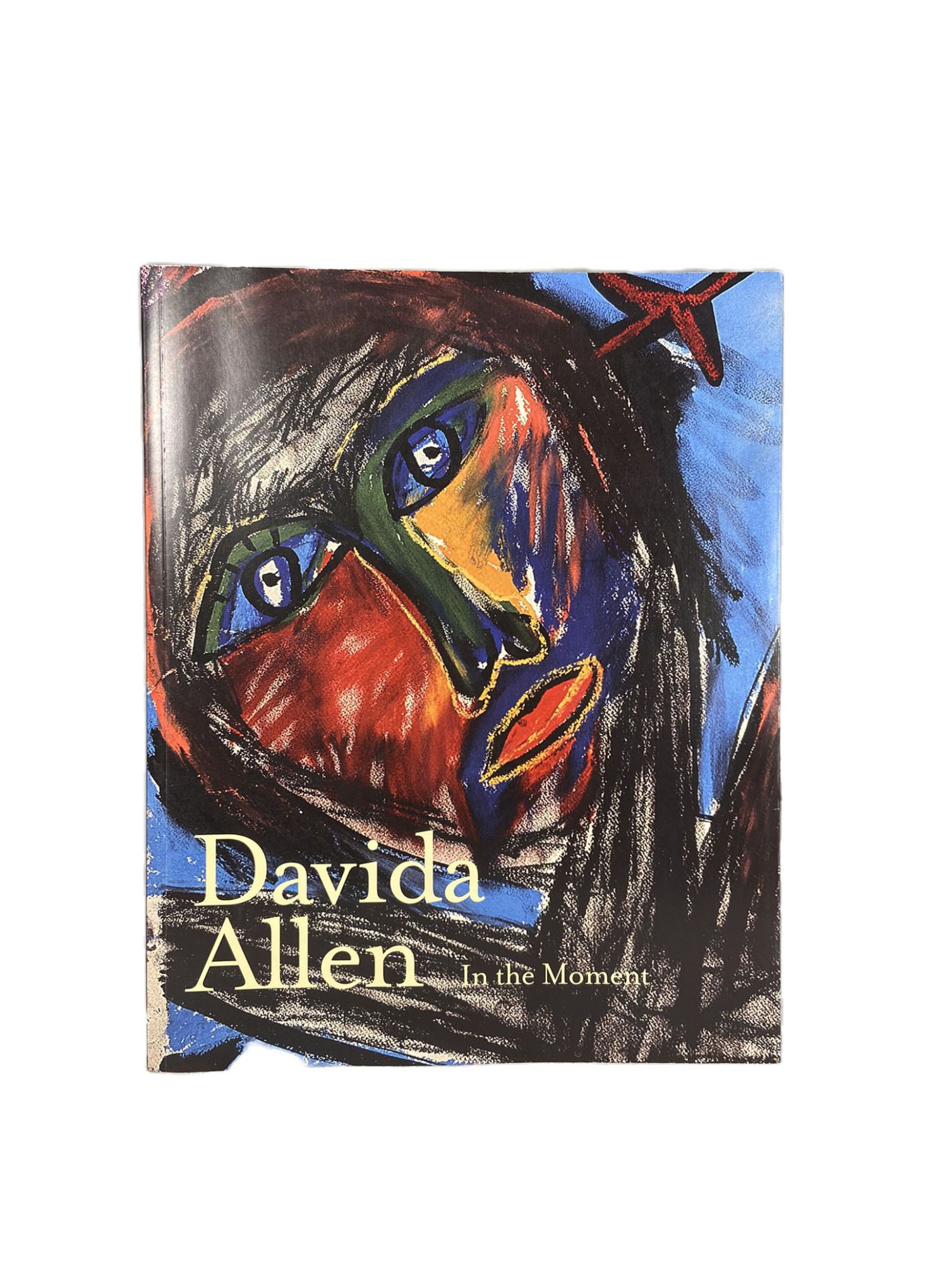 Davida Allen : In the Moment by Griffith University Art Museum: Fine ...