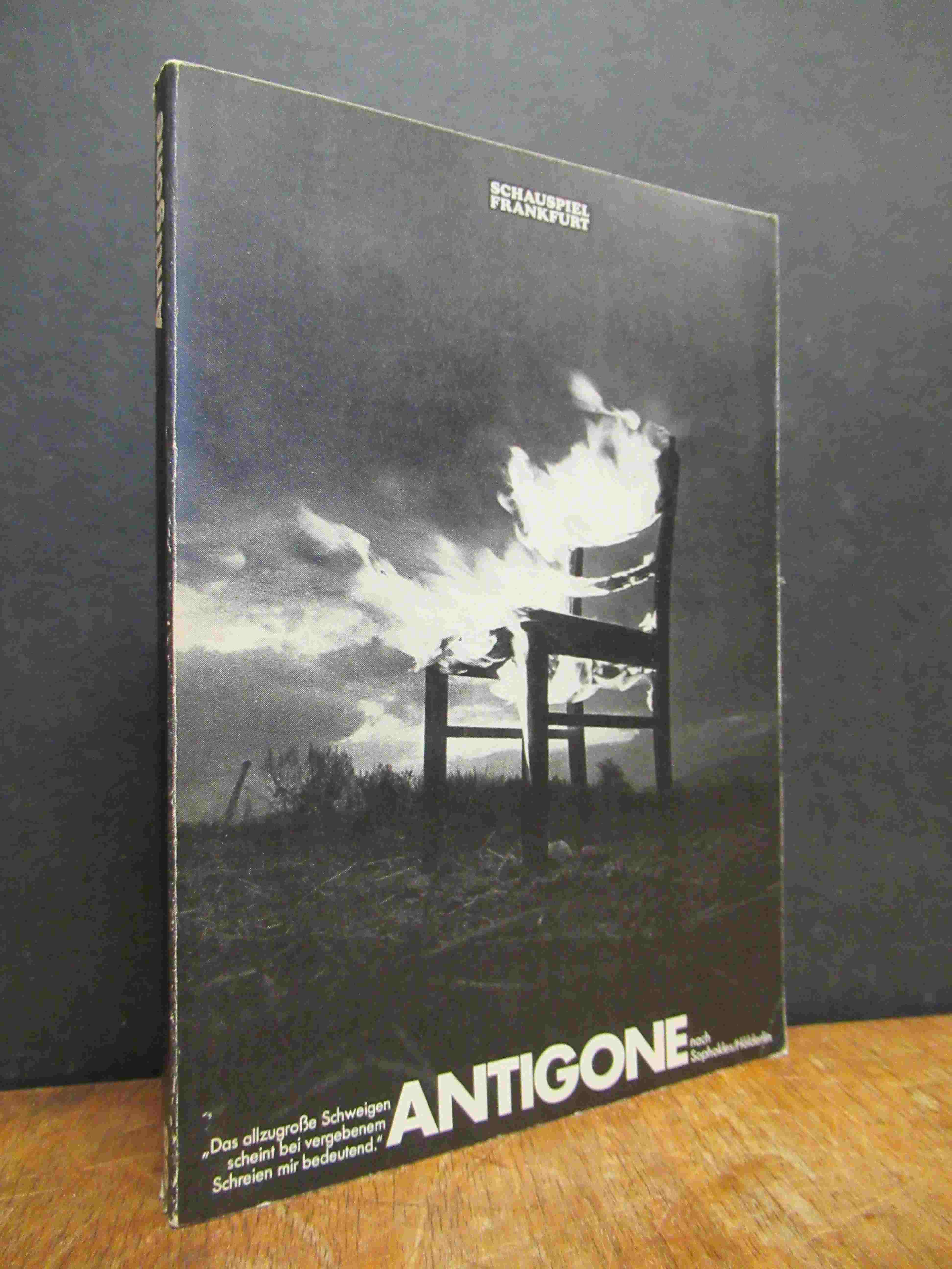 Antigone - 4 Gespräche über den Staat, die Gewalt und das Gesetz ...