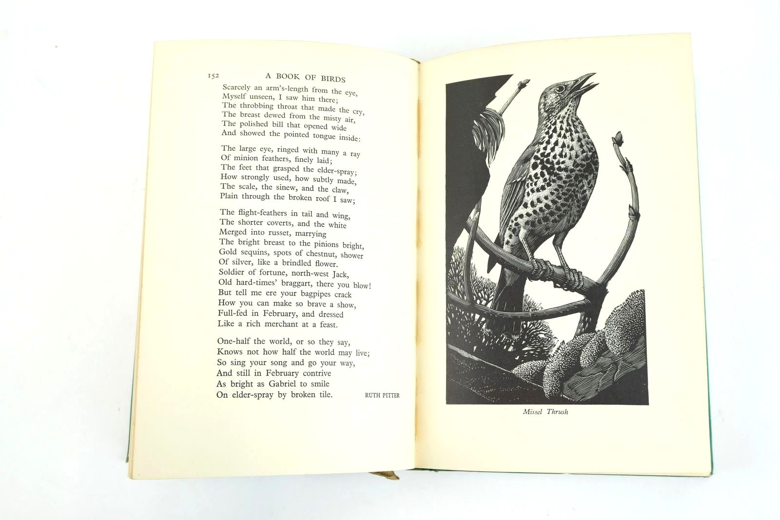 A BOOK OF BIRDS by Priestley, Mary: Very Good Hardback (1937) First ...