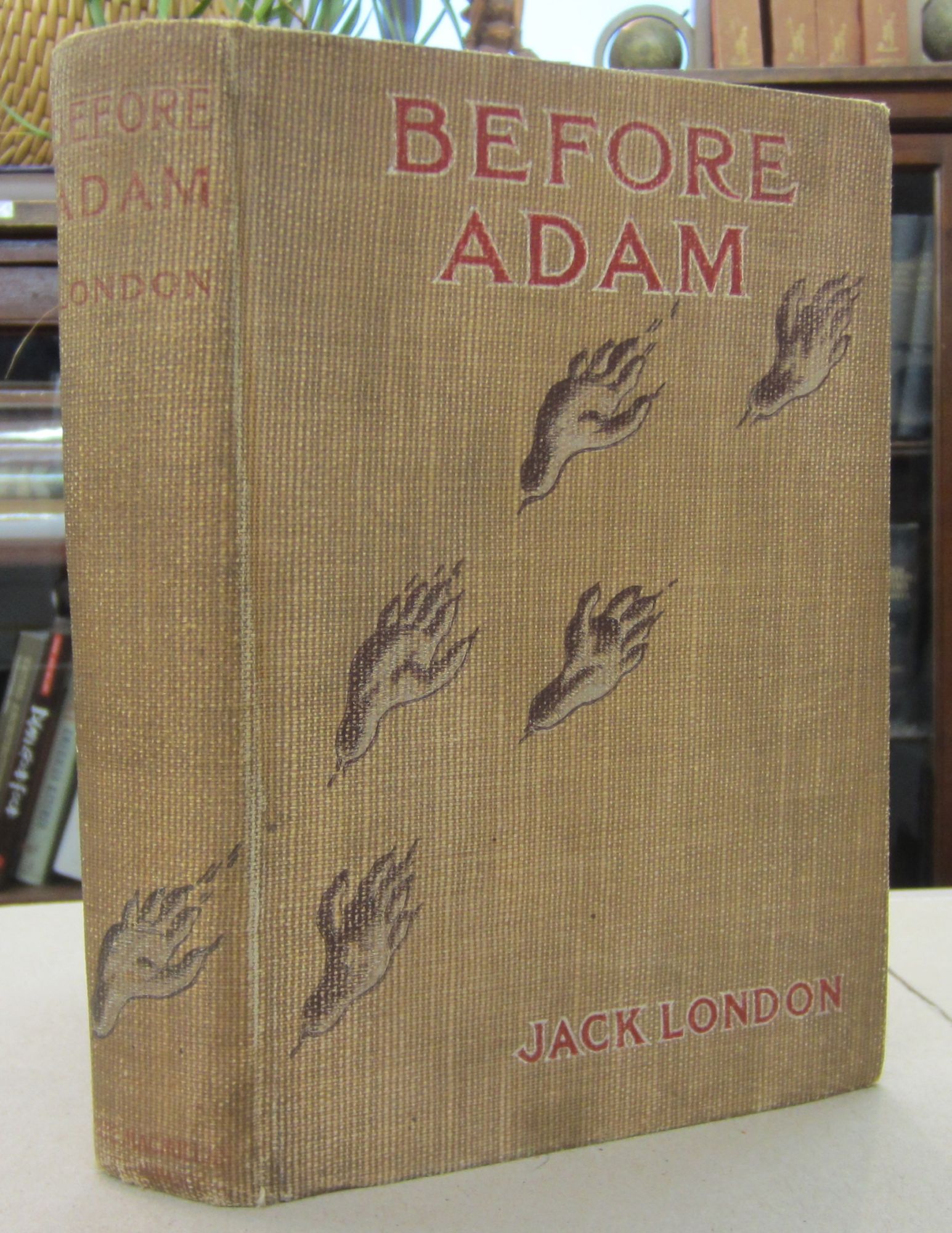 Before Adam by London, Jack: Good+ Hardcover (1907) First edition. | Midway Book Store (ABAA)