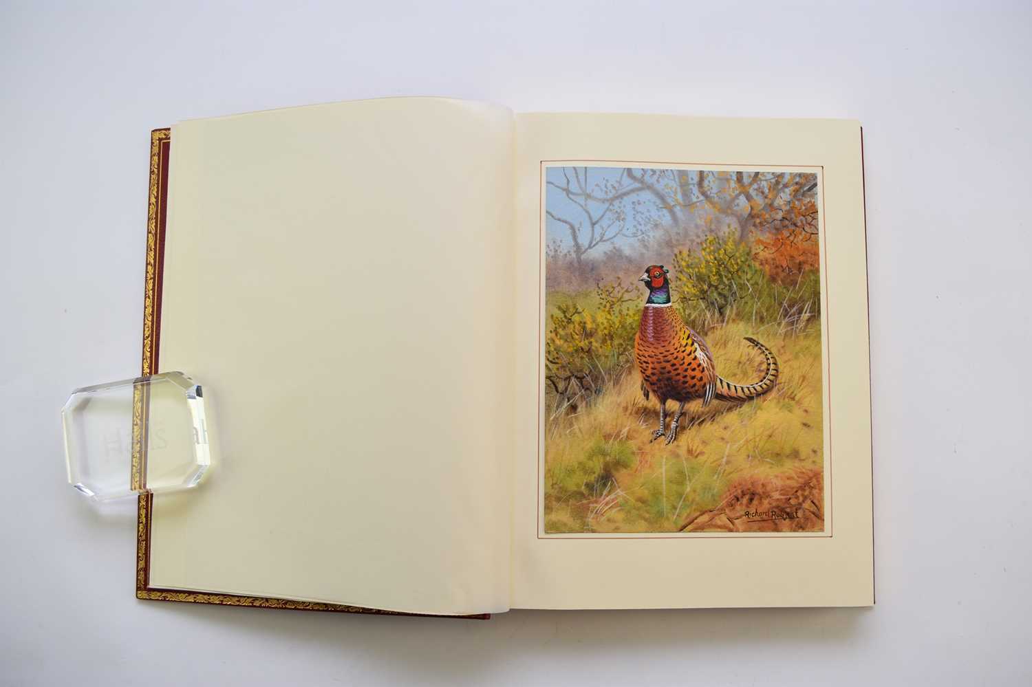 The Pheasant: A Study in Words and Pictures by Martin, Brian & Robjent ...