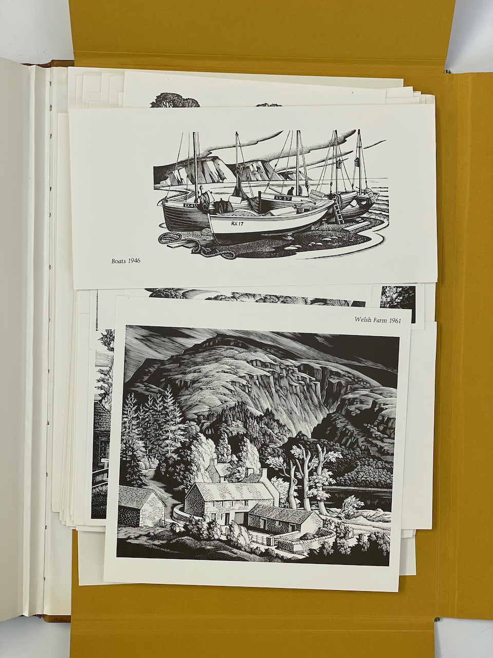 The George Mackley Collection 1. Confessions of a Woodpecker 2. George ...