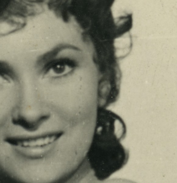 Actress Gina Lollobrigida Old Sam Levin Photo RPPC 1960 by Sam LEVIN ...