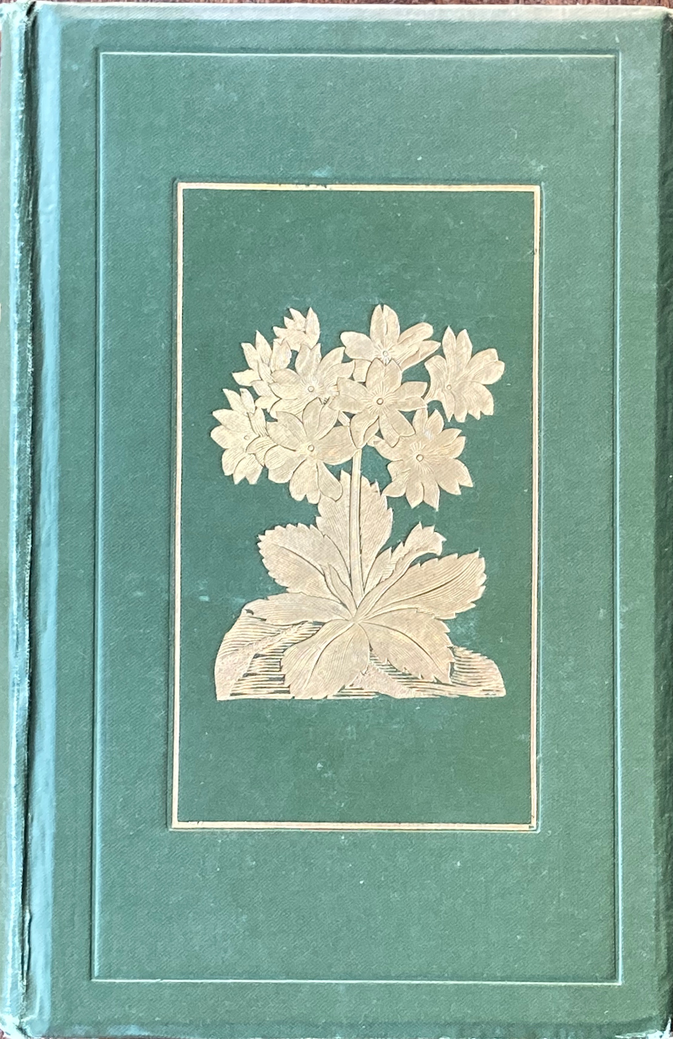 Alpine plants of Europe, together with cultural hints by Thompson, H.S ...