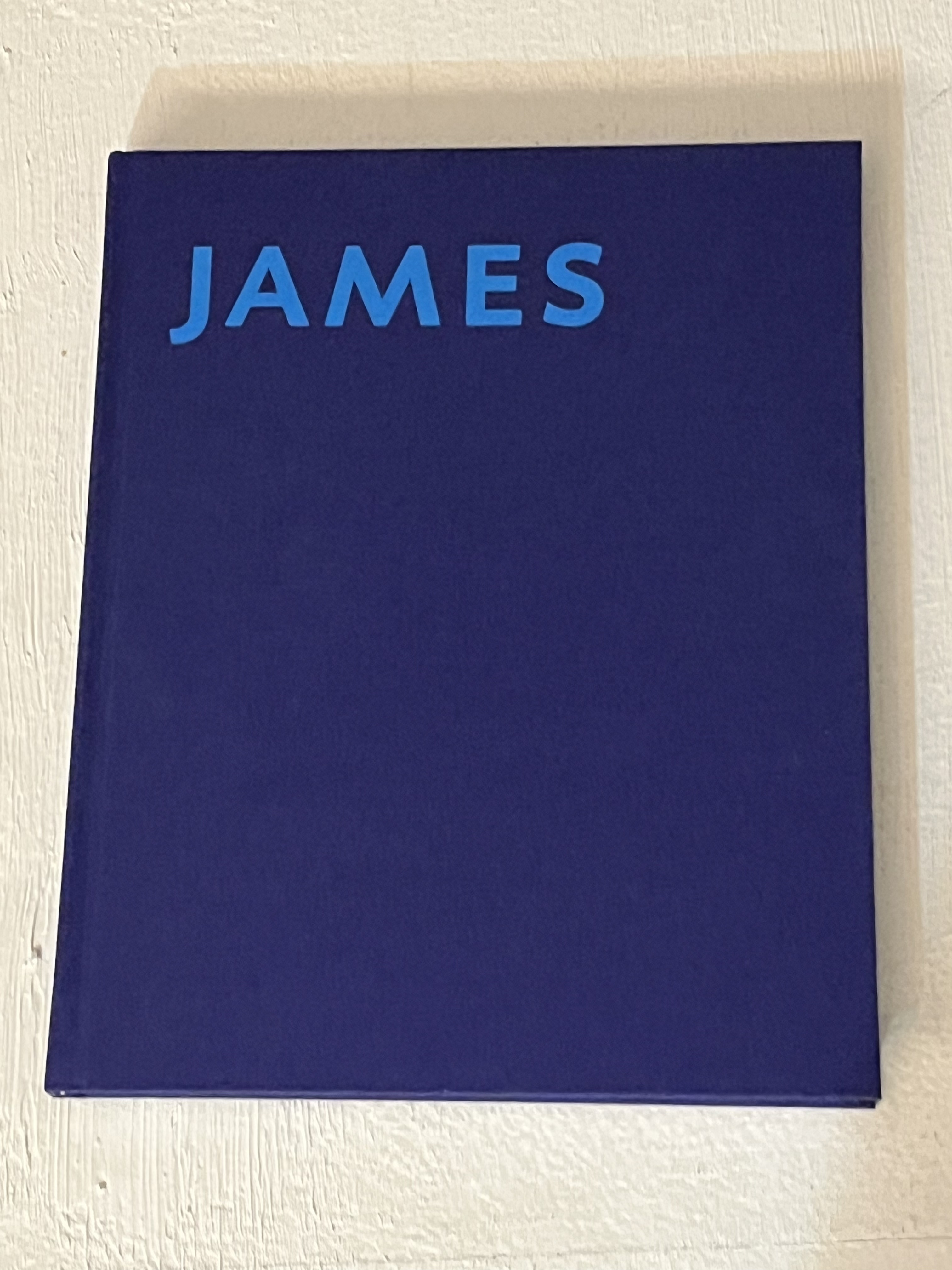 James Turrell by James Turrell, Miwon Kwon: Near Fine Hardcover (2010 ...
