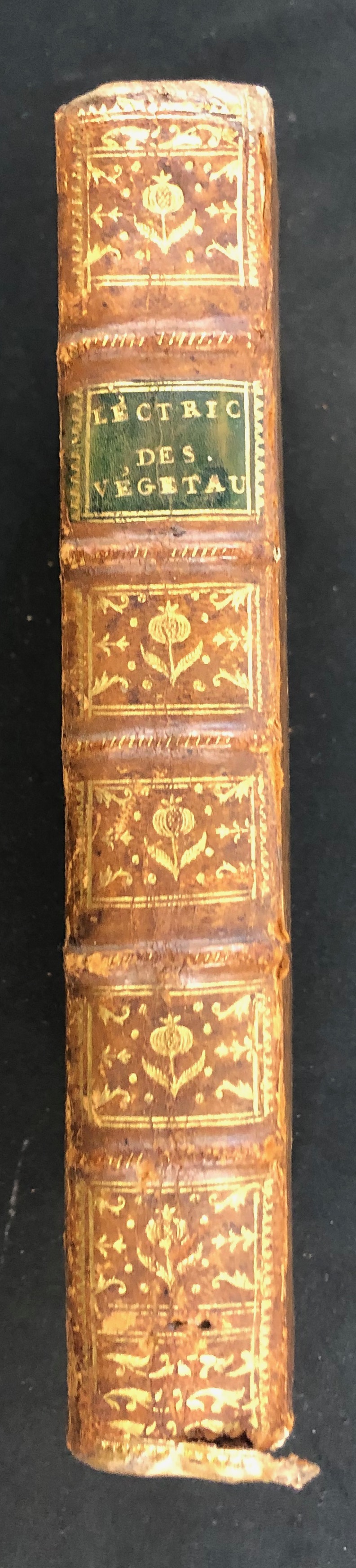 De l'Electricite des vegetaux by Bertholon, Pierre: Near Fine Hardback ...