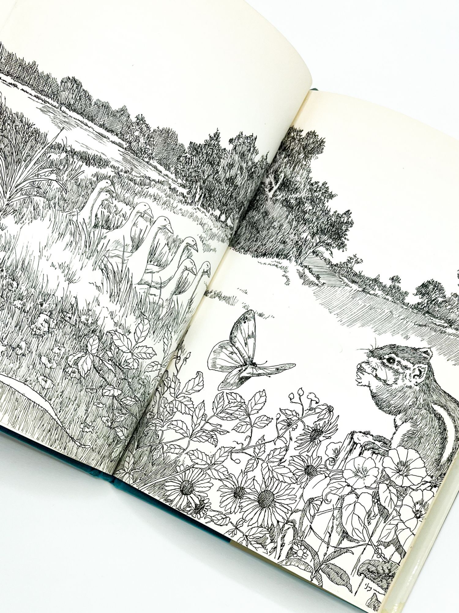 MOMENTS by Hague, Michael; Cummings, E. E.; Dickinson, Emily; Frost ...