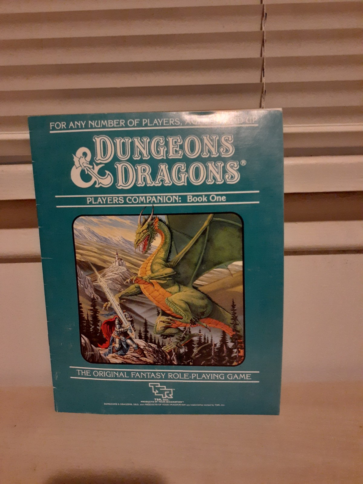 Dungeons & Dragons Players Companion: Book One and Dungeon Masters ...