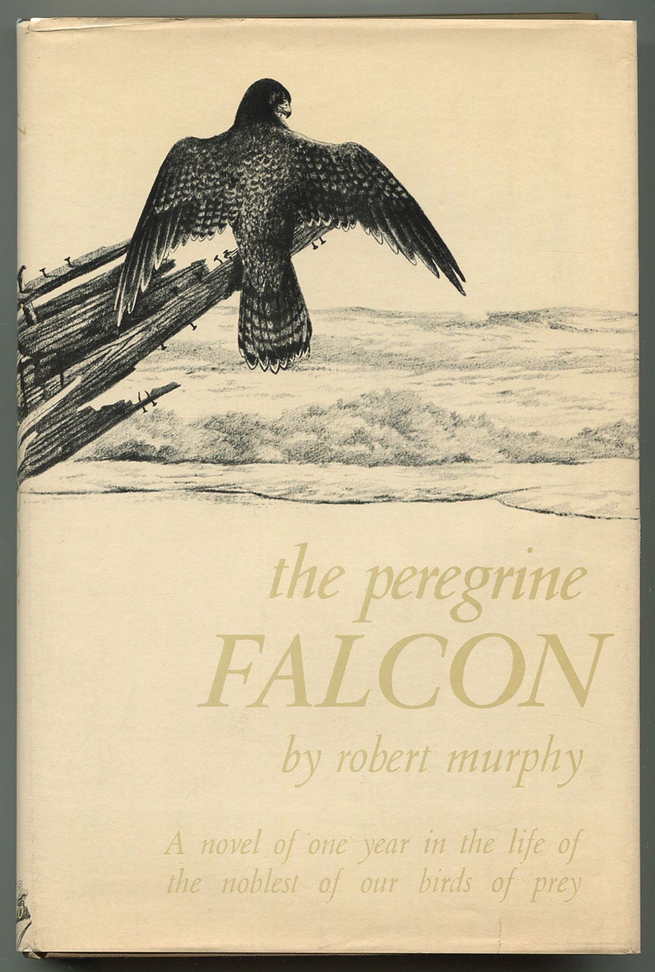 The Peregrine Falcon by MURPHY, Robert: Near Fine Hardcover (1964 ...