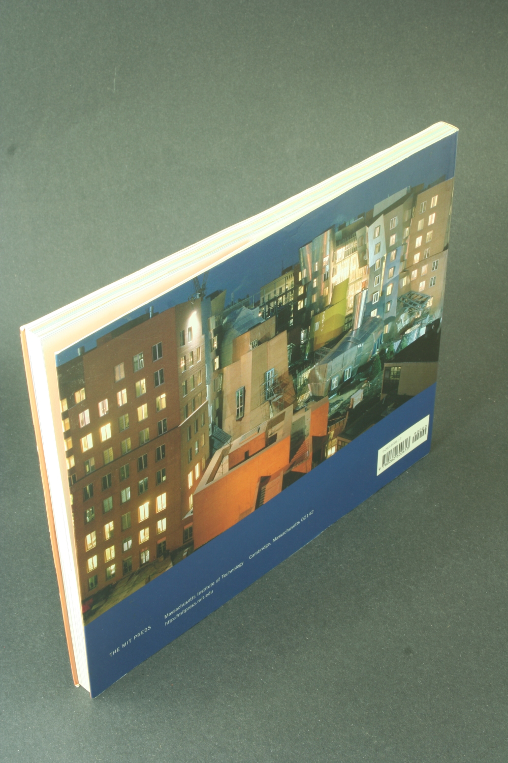 Building Stata: the design and construction of Frank O. Gehry's Stata ...