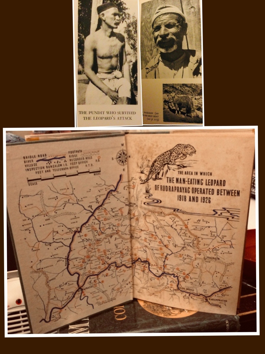 The Man eating Leopard of Rudraprayag / Inscribed & Signed by Author by ...