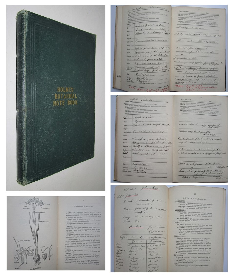 HOLME?S BOTANICAL NOTE BOOK Or Practical Guide to a Knowledge of Botany ...