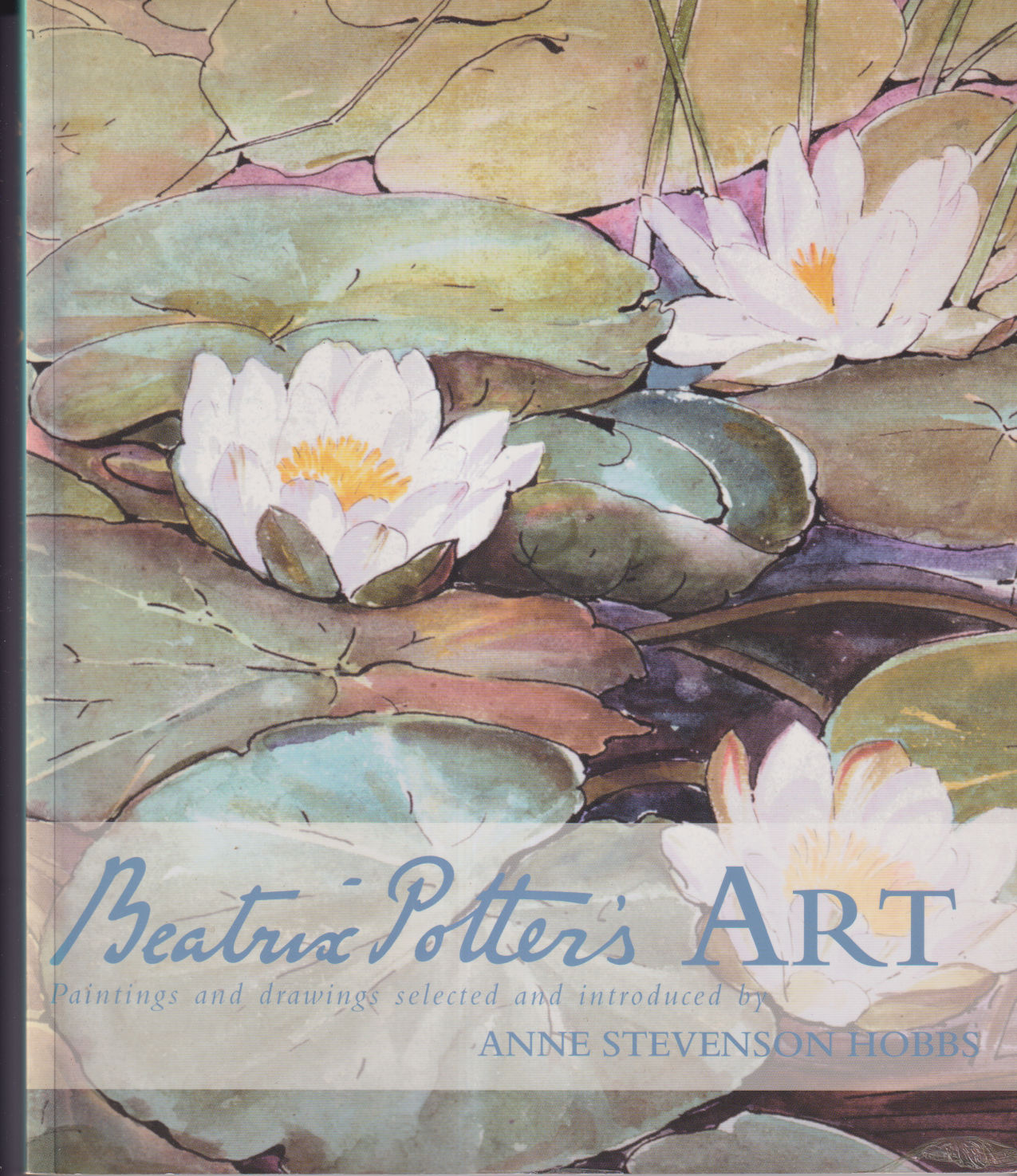 Beatrix Potter's Art - Paintings and Drawings by Stevenson Hobbs, Anne ...