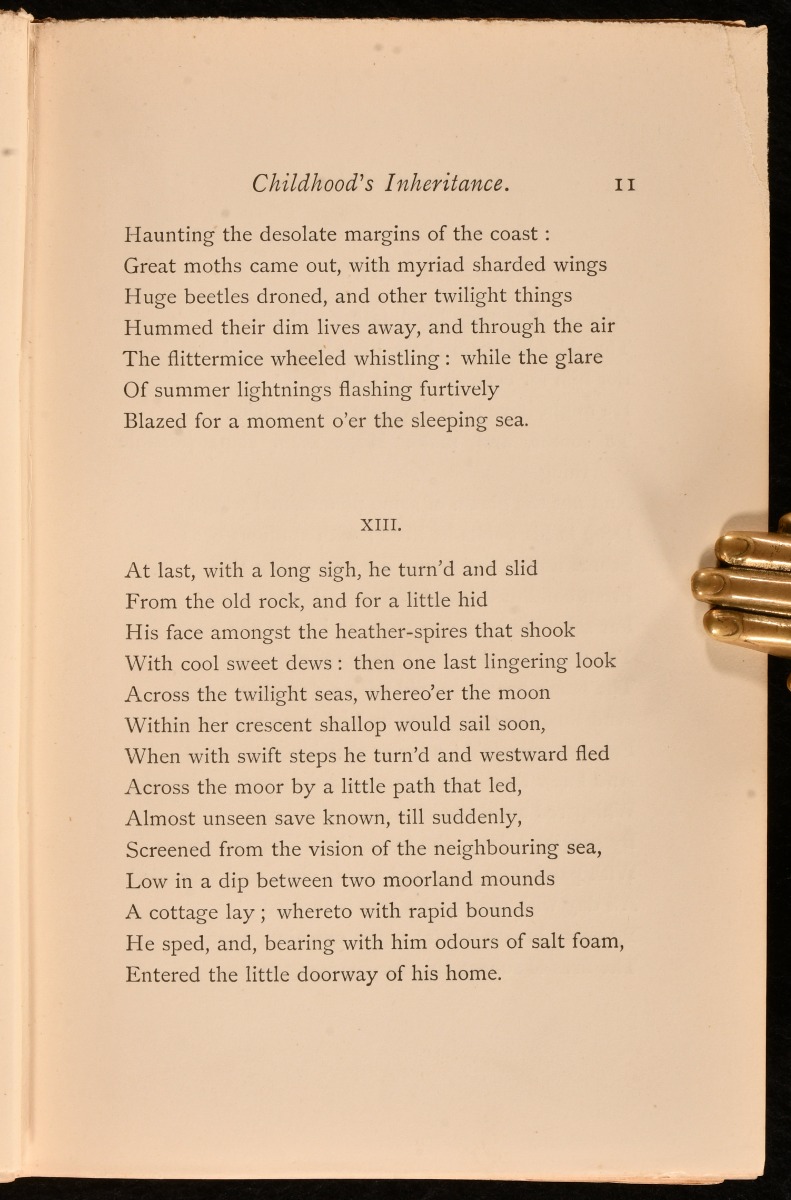 The Human Inheritance, The New Hope, Motherhood de William Sharp: Very ...