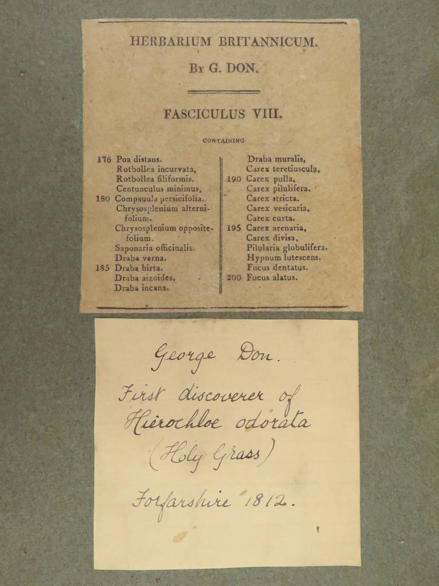 Herbarium britannicum, consisting of fasciculi of dried British plants ...