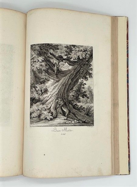 Entwurff Einiger Thiere, Wie solche Nach ihren unterschiedenen Arten ...