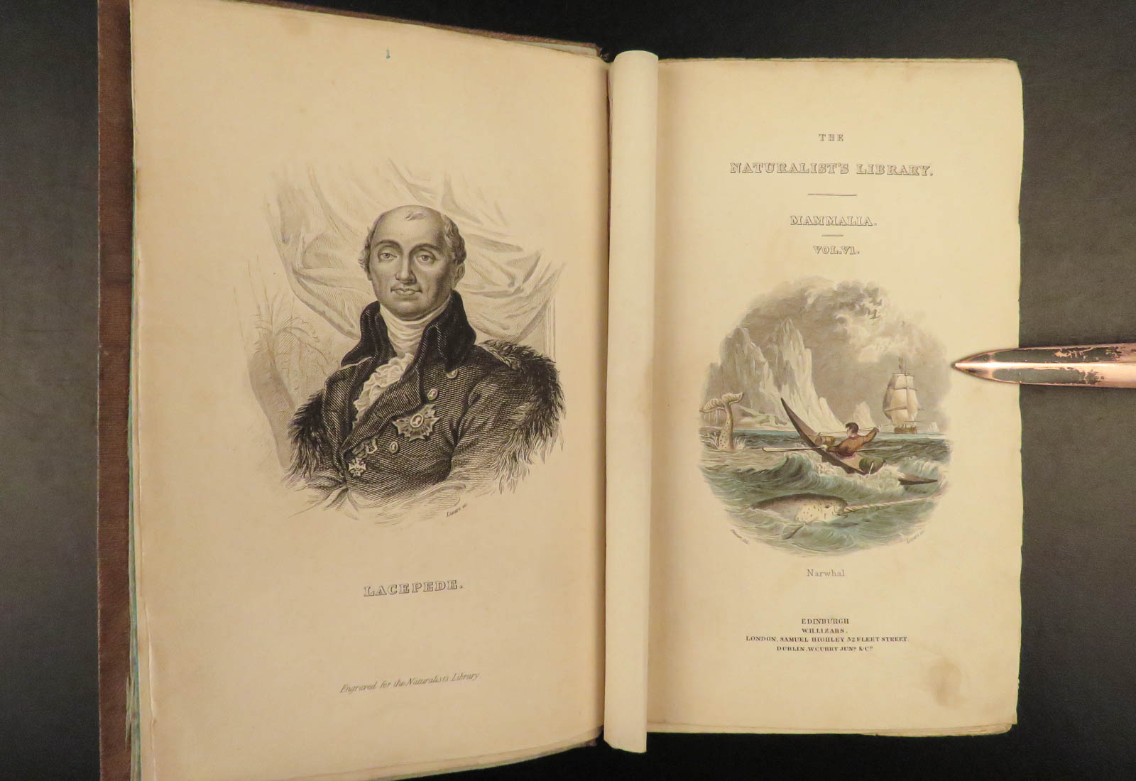 The Natural History of the Ordinary Cetacea or Whales. by JARDINE, Sir ...