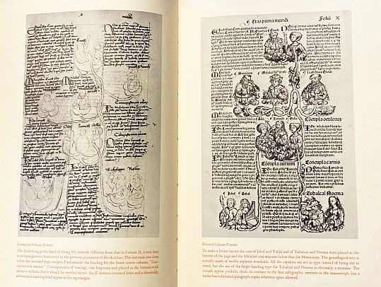The Nuremberg Chronicle Designs. An account of the new discovery of the ...