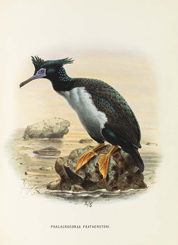 A history of the birds of New Zealand. von Walter Lawry Buller: gut ...