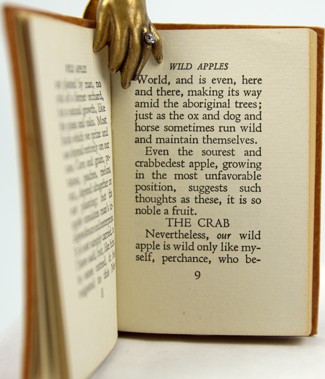 Wild Apples: History of the Apple Tree by Thoreau, Henry David: (1956 ...