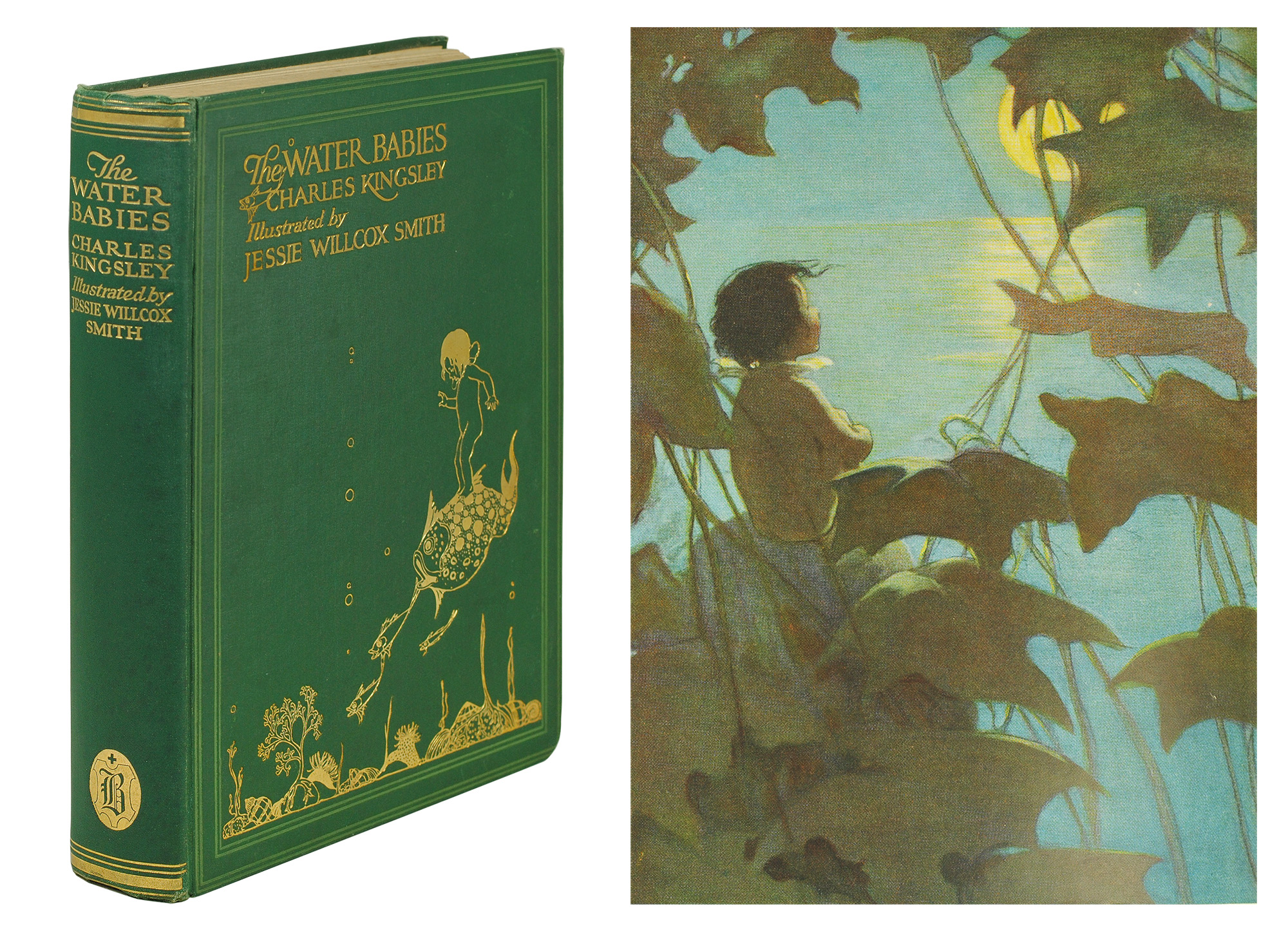 The Water Babies. By Charles Kingsley. Illustrated by Jessie Willcox ...