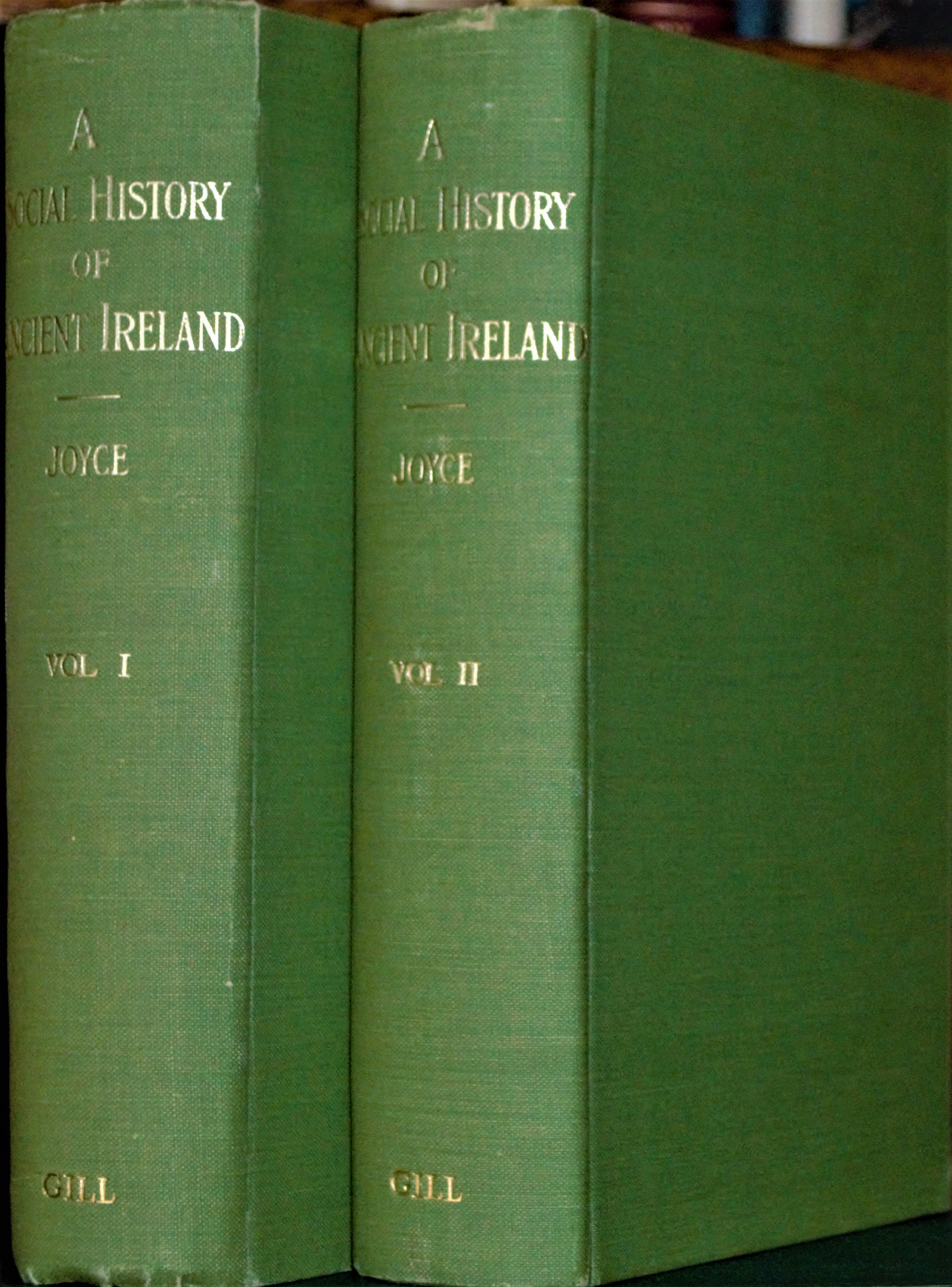 A Social History of Ancient Ireland: The Government,Military System ...