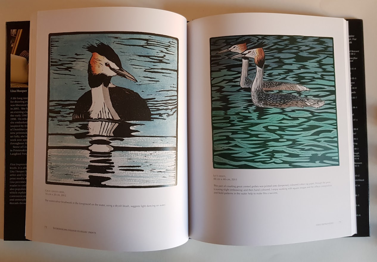 First Impressions by Hooper, Lisa: Fine Hardcover (2014) 1st Edition ...