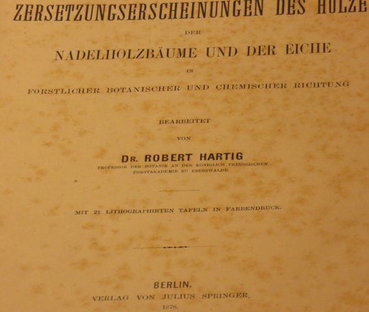 Die Zersetzungserscheinungen des Holzes der Nadelholzbäume und der ...