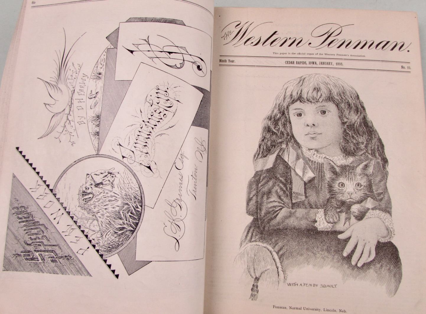 WESTERN PENMAN 1893-1895 + PALMER'S GUIDE TO MUSCULAR MOVEMENT WRITING ...