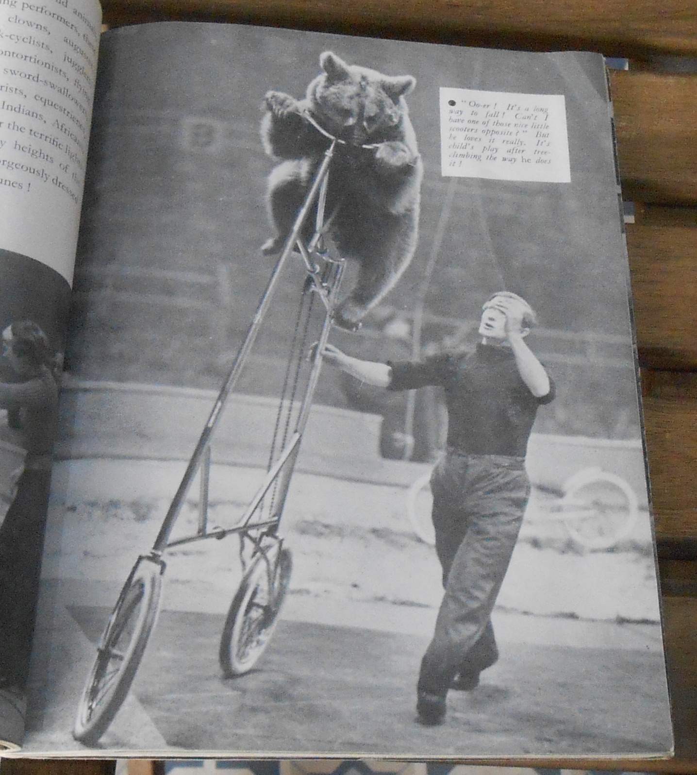 Bertram Mills Circus in Story and Pictures by Derek Gilpin Barnes ...