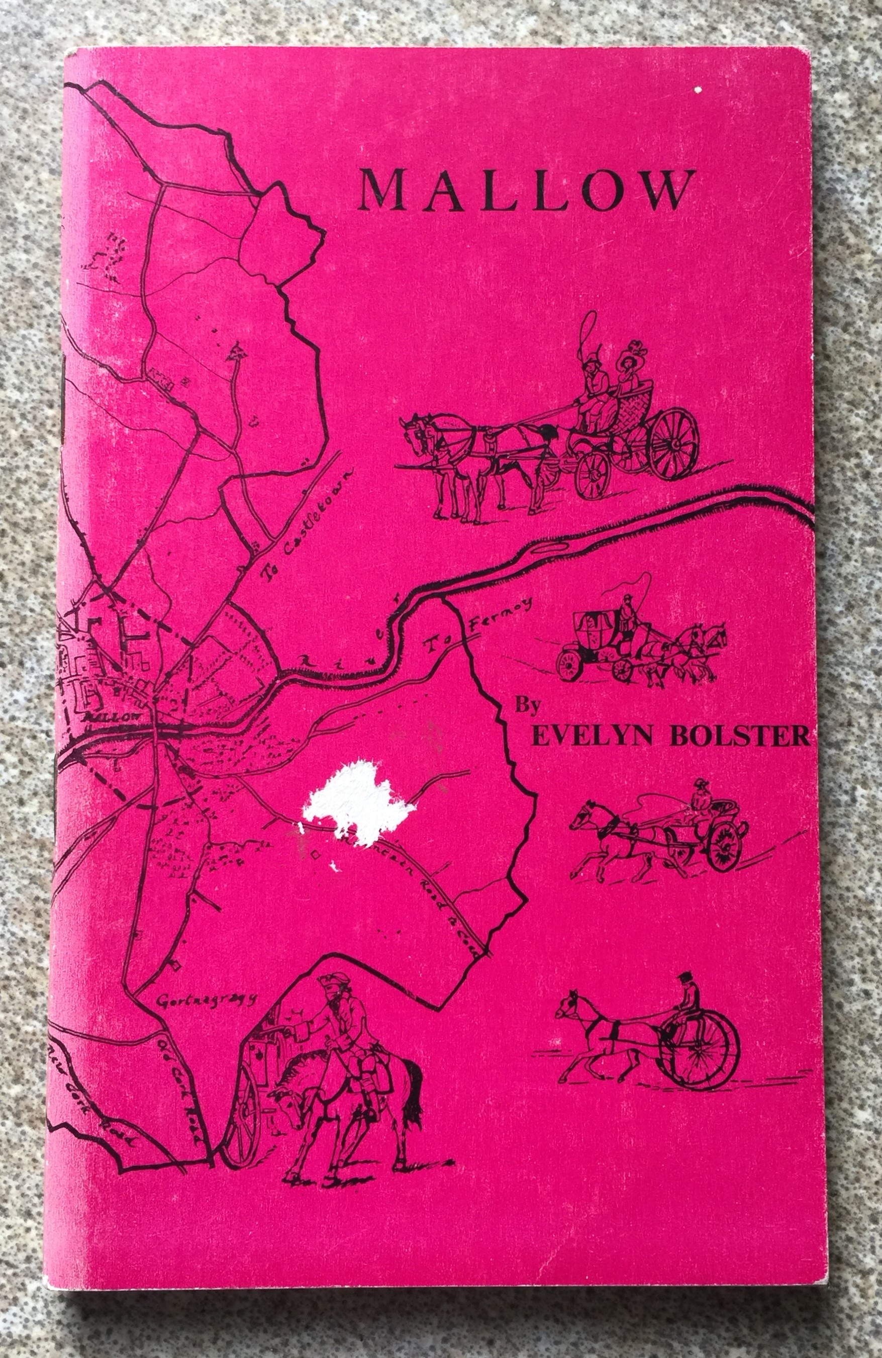 A History of Mallow by Bolster, Evelyn: Near Fine Soft cover (1971) 1st ...