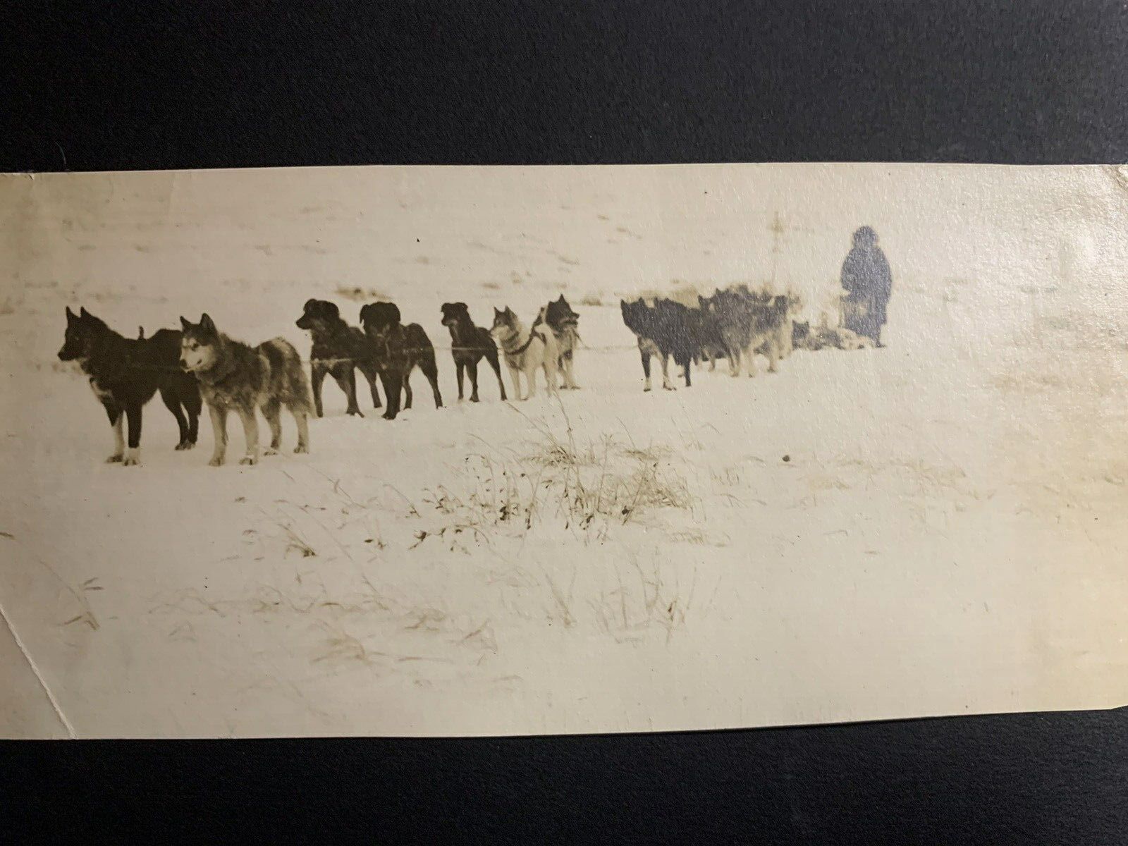 1930's Alaska Territory - Photo Album by Dog Sledding: Photograph ...