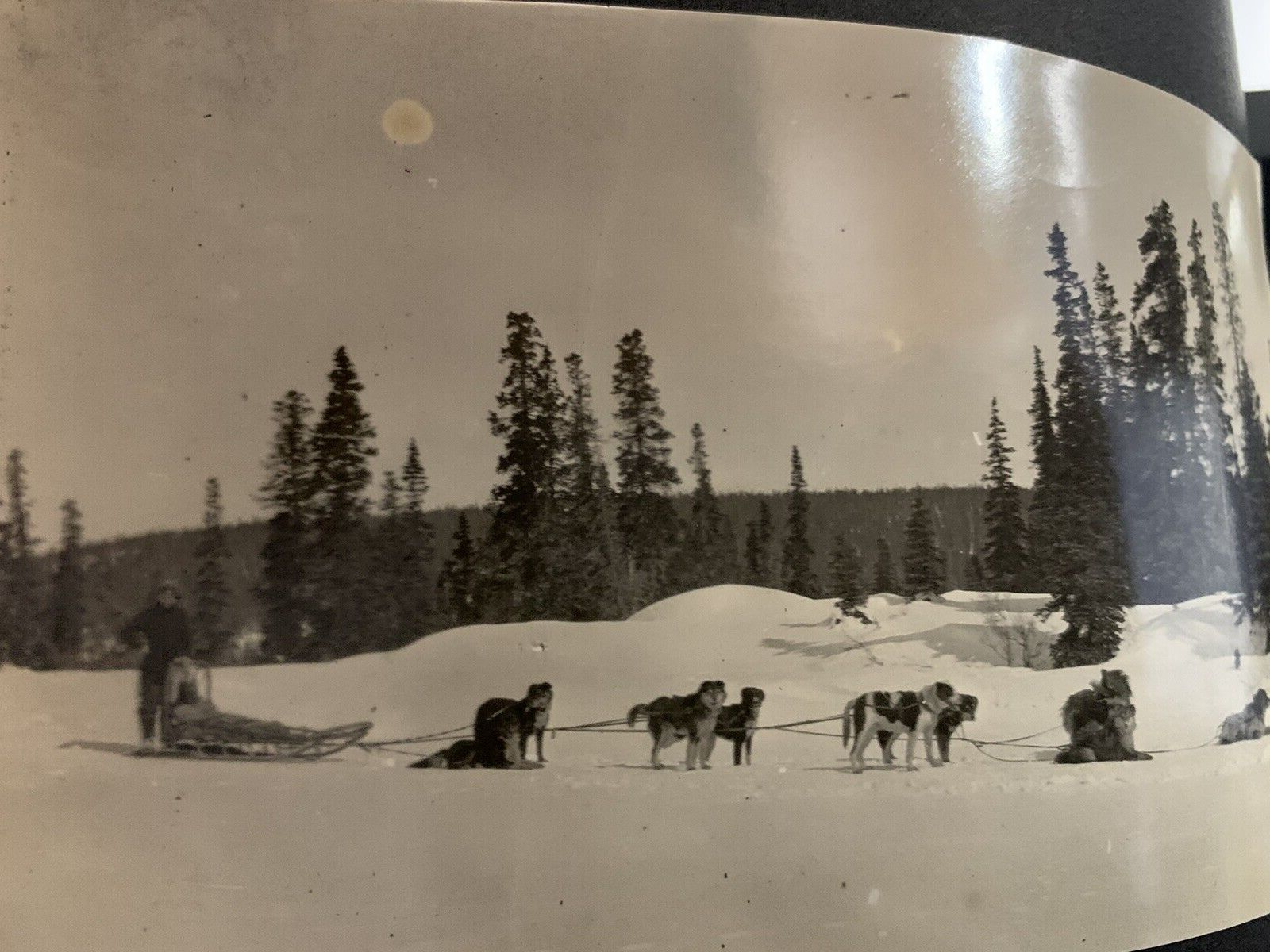 1930's Alaska Territory - Photo Album by Dog Sledding: Photograph ...