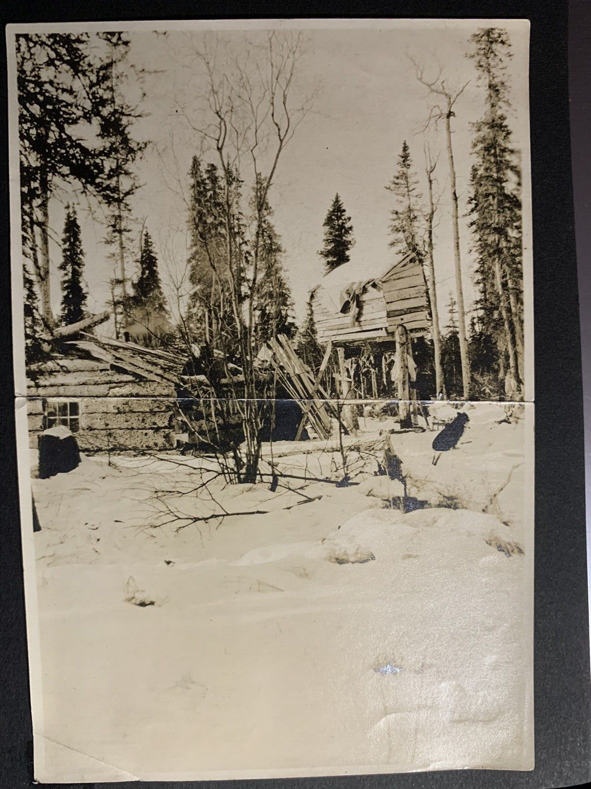 1930's Alaska Territory - Photo Album by Dog Sledding: Photograph ...