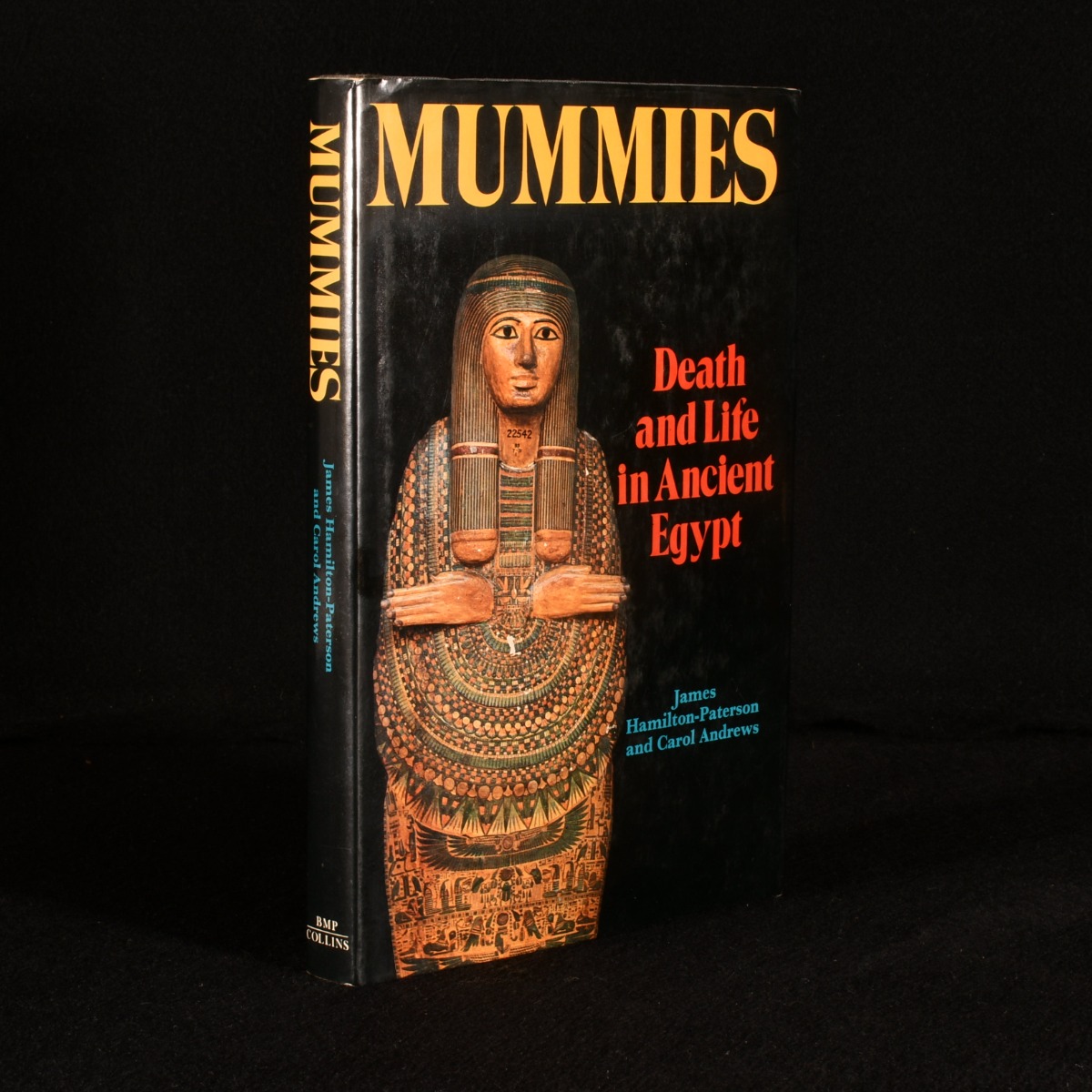 Mummies: Death and Life in Ancient Egypt by James Hamilton-Paterson ...