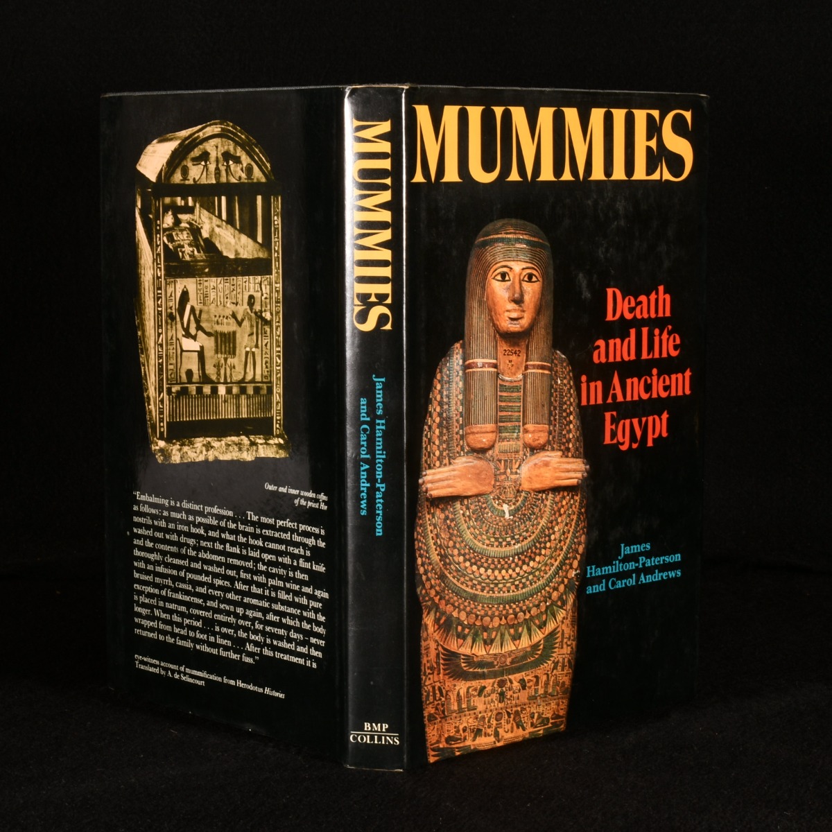 Mummies: Death and Life in Ancient Egypt by James Hamilton-Paterson ...