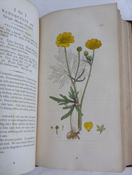 English Botany; or, coloured figures of British plants, with their ...
