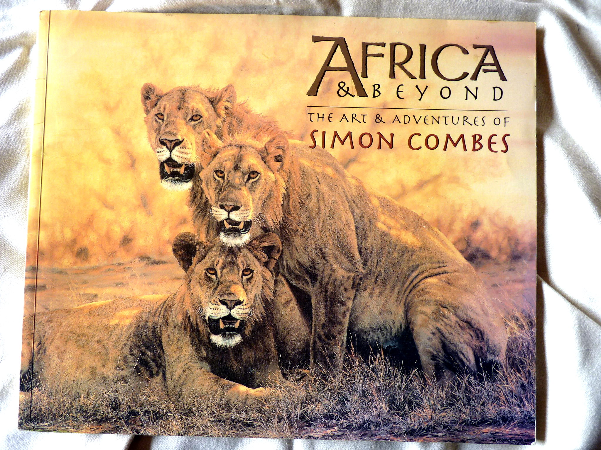 Africa & Beyond: The Art & Adventures of Simon Combes by Simon Combes ...