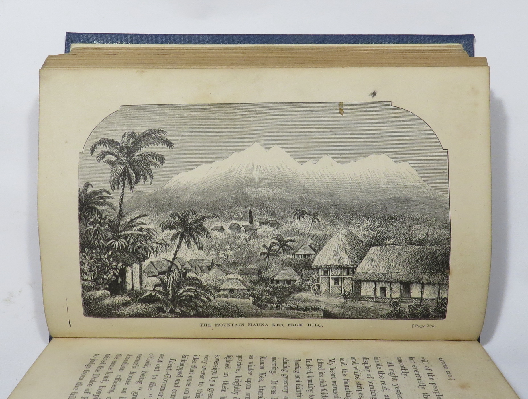 The Hawaiian Archipelago. Six Months Among The Palm Groves, Coral Reefs ...