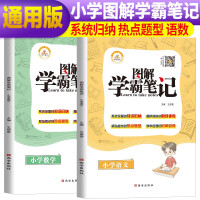 Set of 2 volumes of primary school learning bully notes Chinese ...