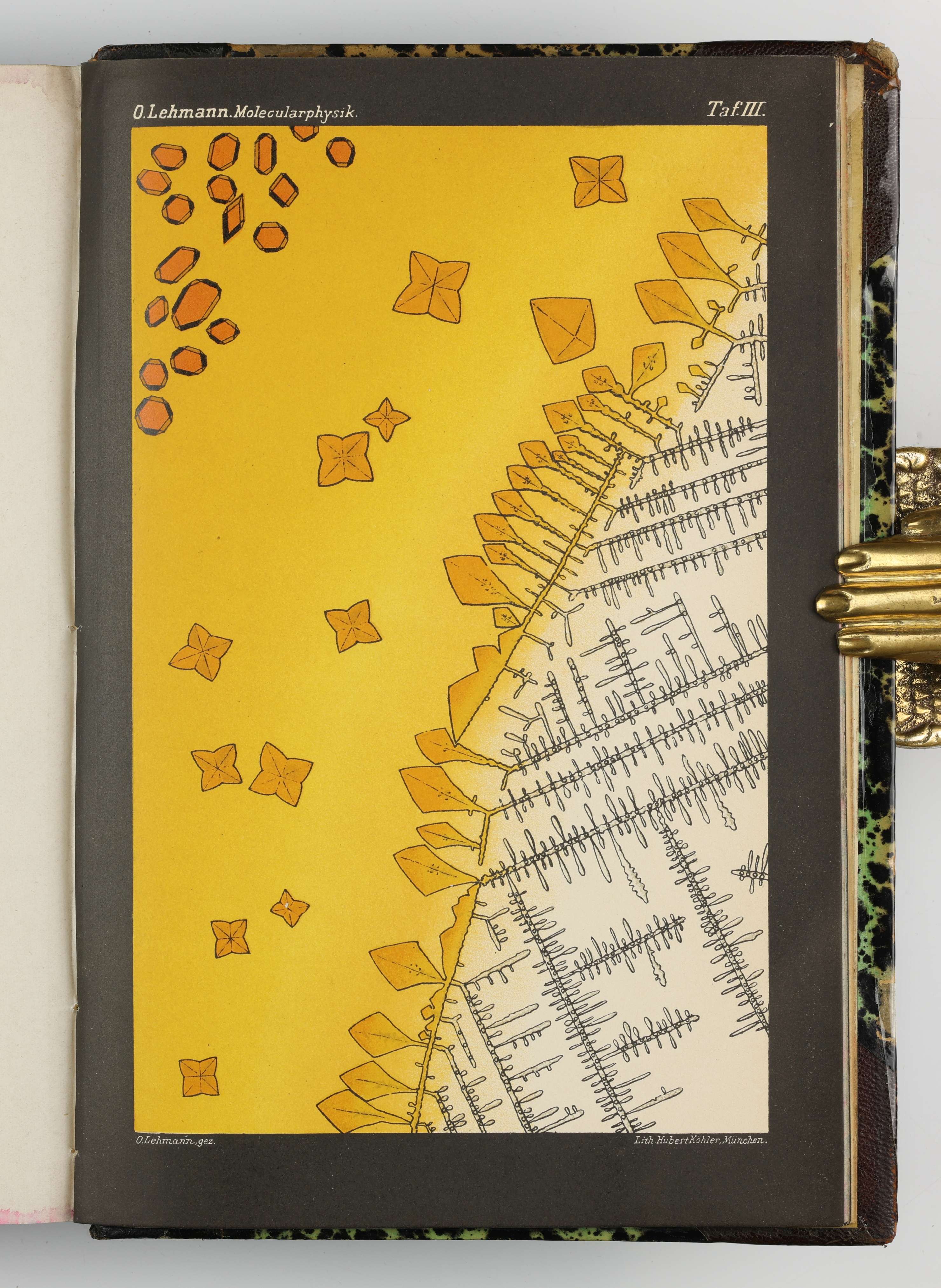 Molekularphysik mit Besonderer Berücksichtigung Mikroskopischer ...