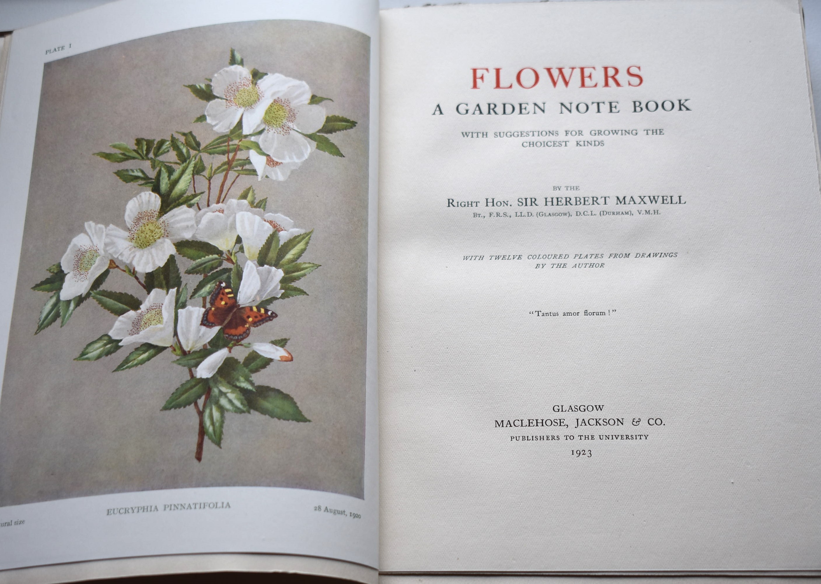 FLOWERS A Garden Note Book With Suggestions For Growing The Choicest ...