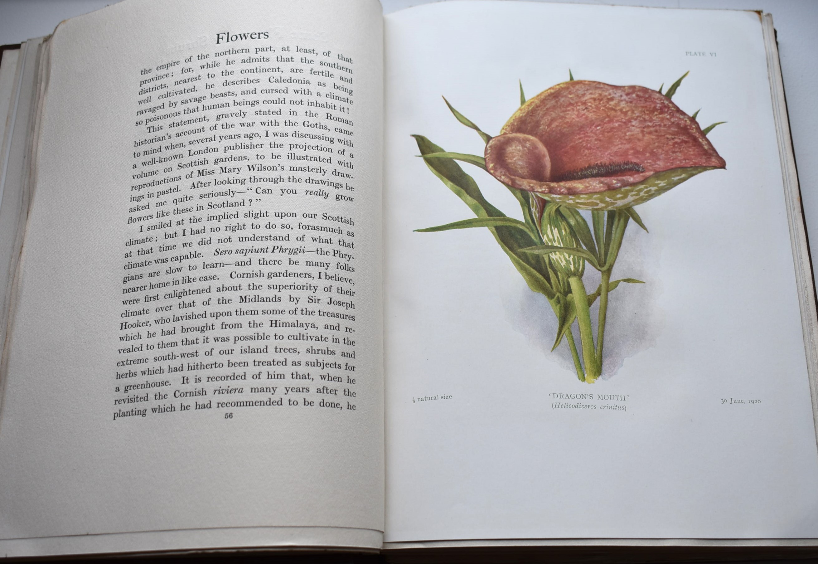 FLOWERS A Garden Note Book With Suggestions For Growing The Choicest ...