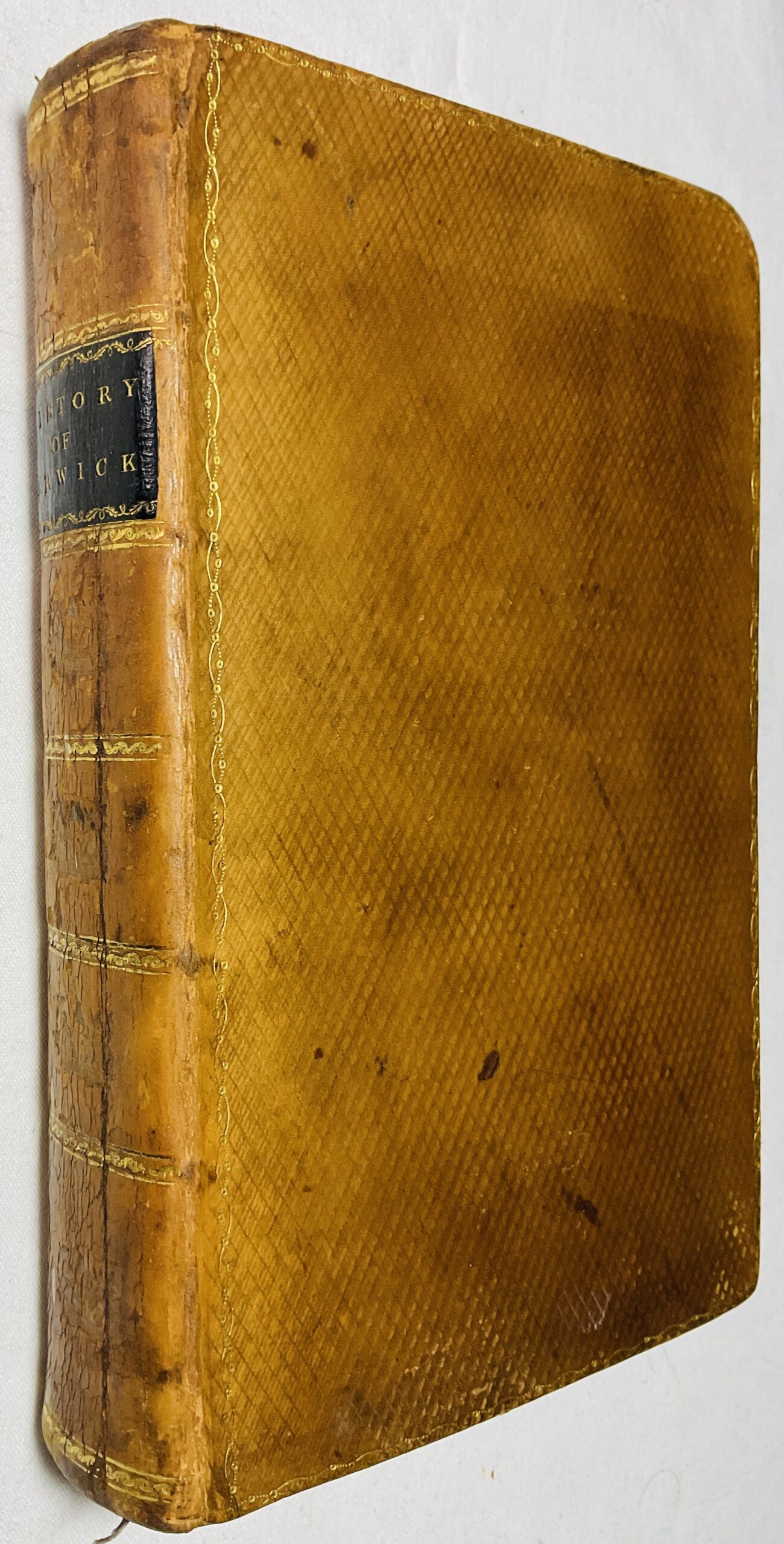 The History of Berwick upon Tweed, Including a Short Account of the ...