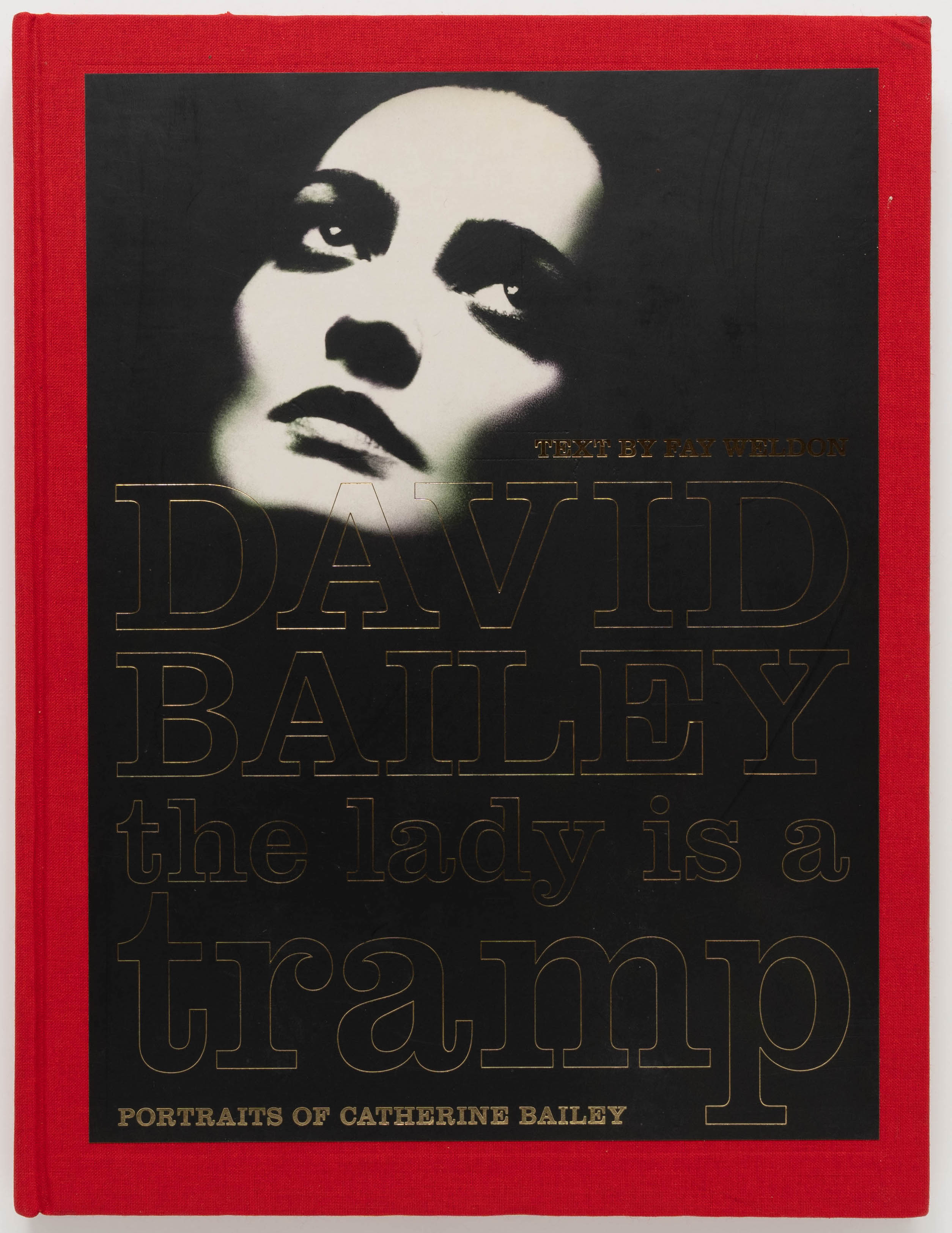 David Bailey: The Lady Is a Tramp: Portraits of Catherine Bailey by Fay ...